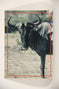 The Lion King 1994 Trading Card #163 The Wildebeest ENG L011857 – AGS ...